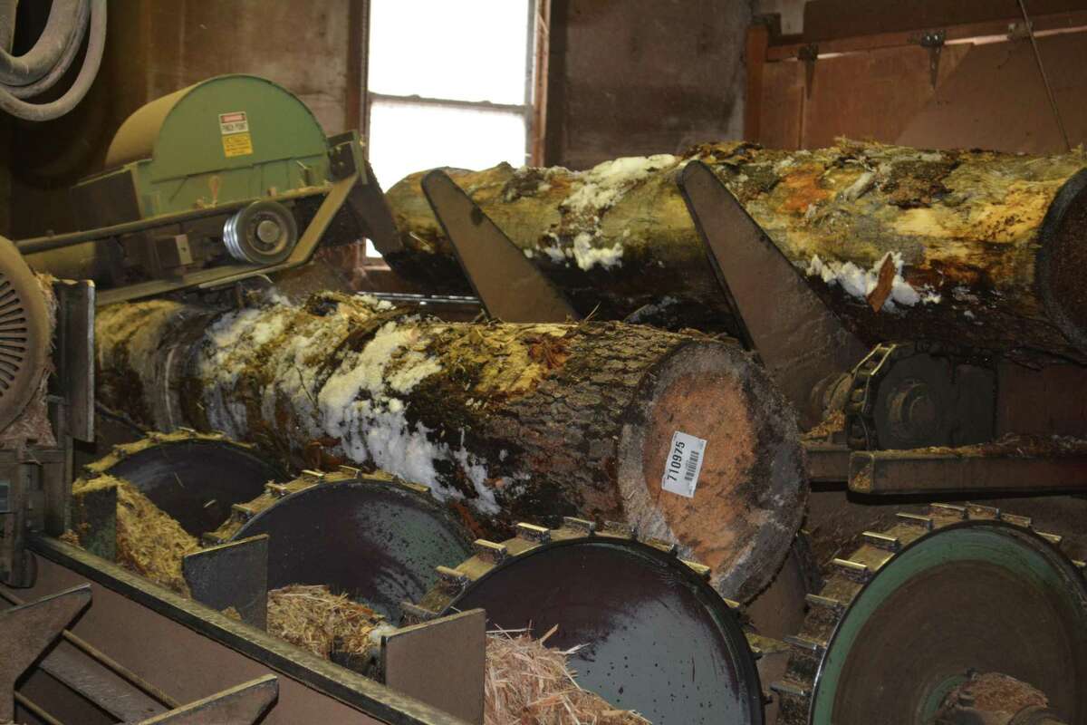 Connecticut sawmill finding uses for Sleeping Giant’s fallen trees