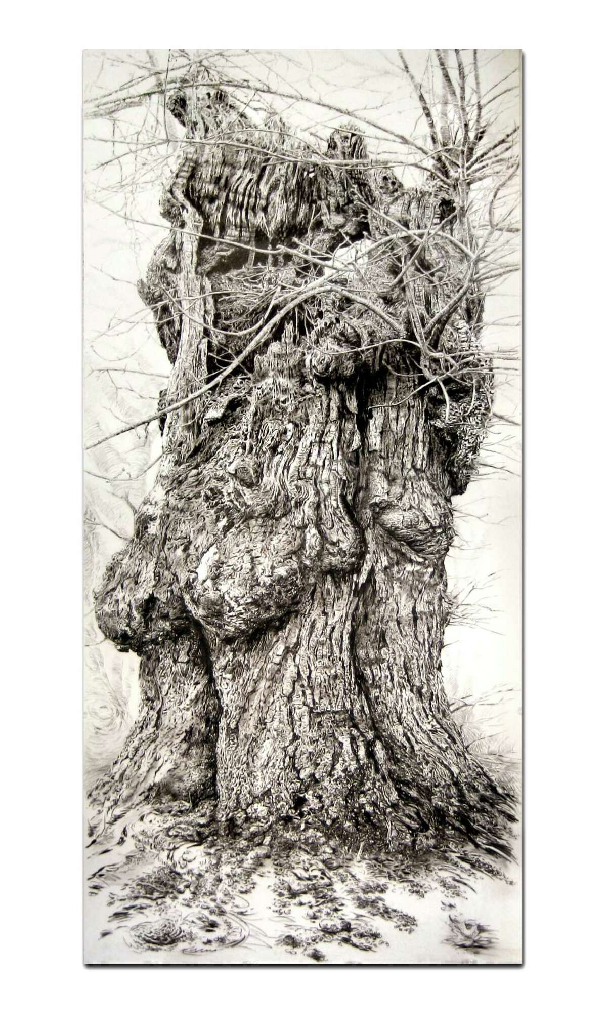 Artist Rick Shaefer’s decision to scale up results in more powerful images