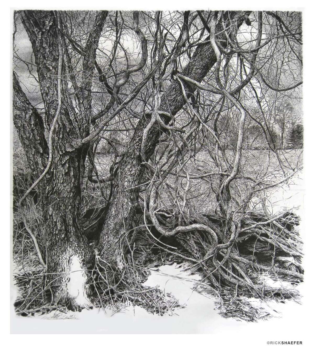 Artist Rick Shaefer’s decision to scale up results in more powerful images