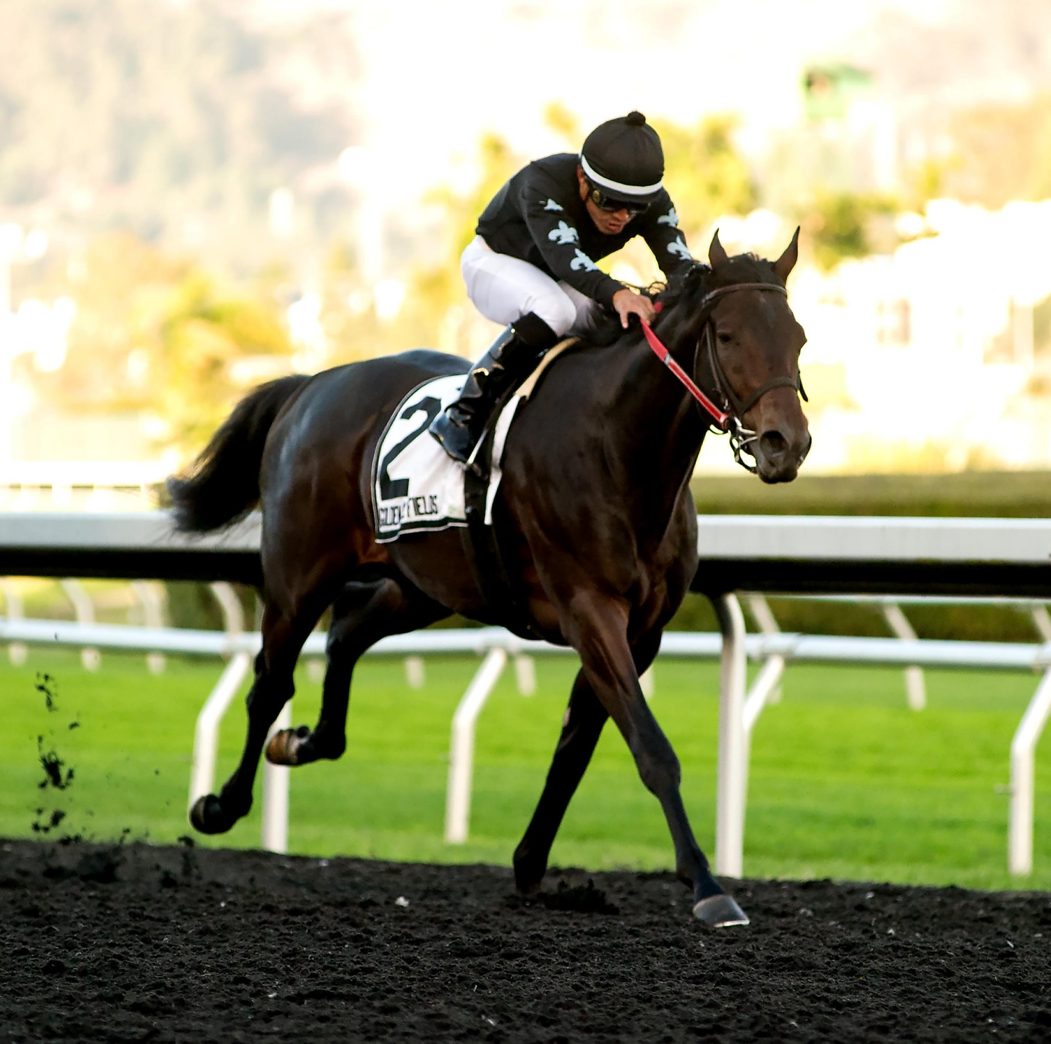 Northern California horse racing heads for the fair circuit