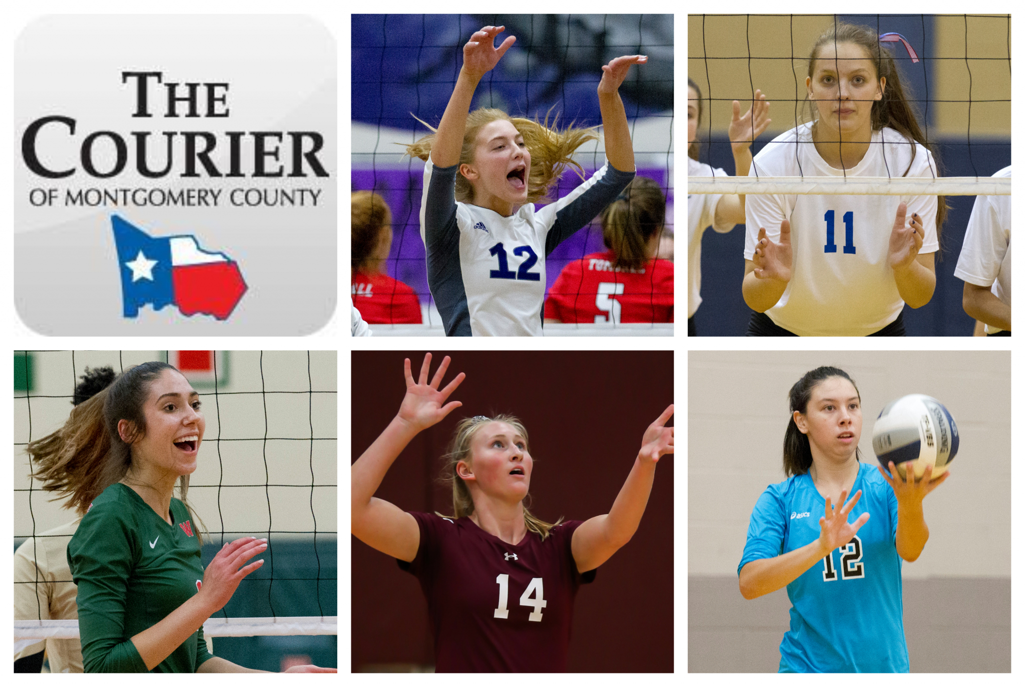 VOLLEYBALL: Who should be The Courier's Newcomer of the Year?