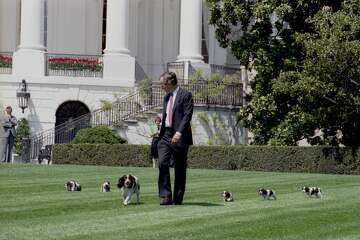 Look back at dog-lover George H.W. Bush's pets, from Millie to Sully