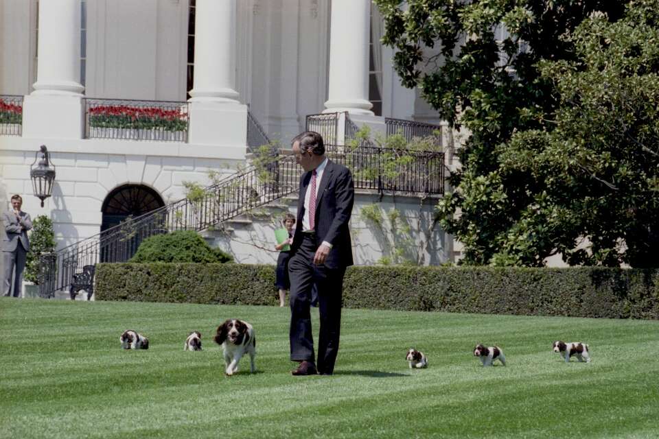 Look back at dog-lover George H.W. Bush's pets, from Millie to Sully