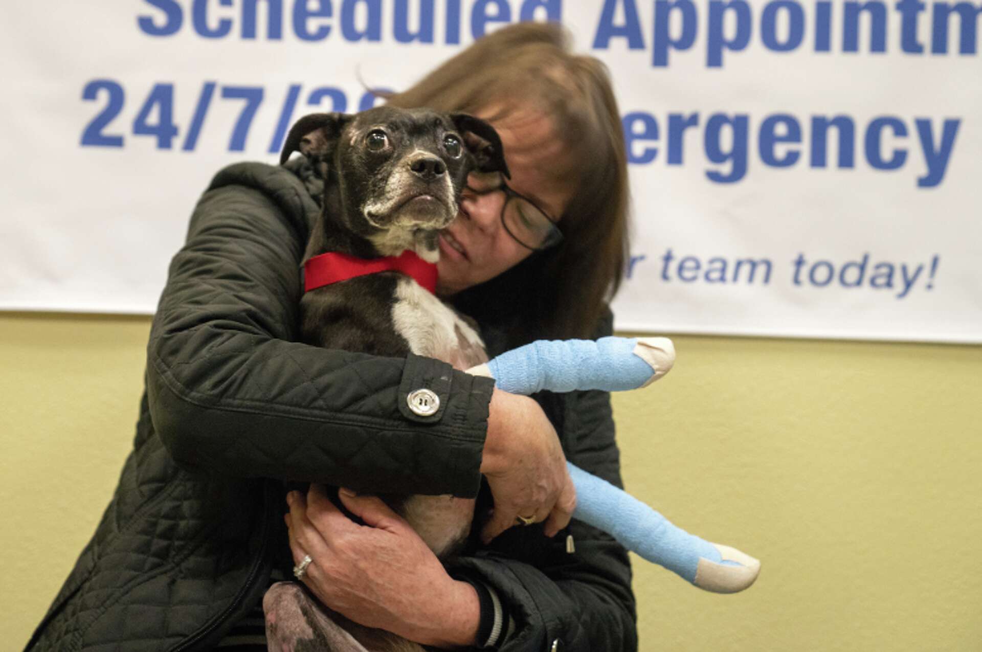 In a first for animal medicine, NorCal vets use fish skin to heal cats ...
