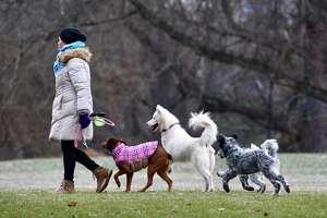 Sports news for Albany & the New York Capital Region - Times Union