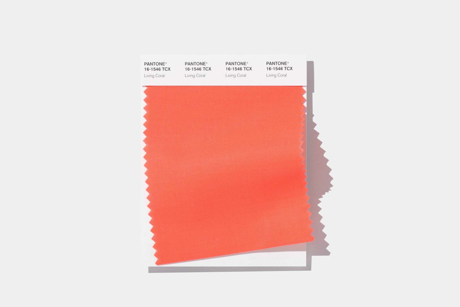 Pantone claims "Living Coral" for its 2019 Color of the Year
