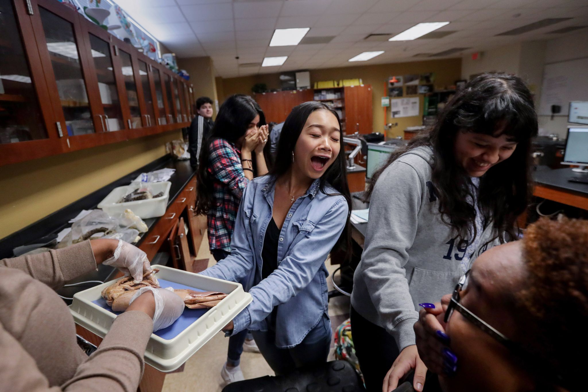 Bay Area lawmaker introduces bill to ban animal dissection in ...