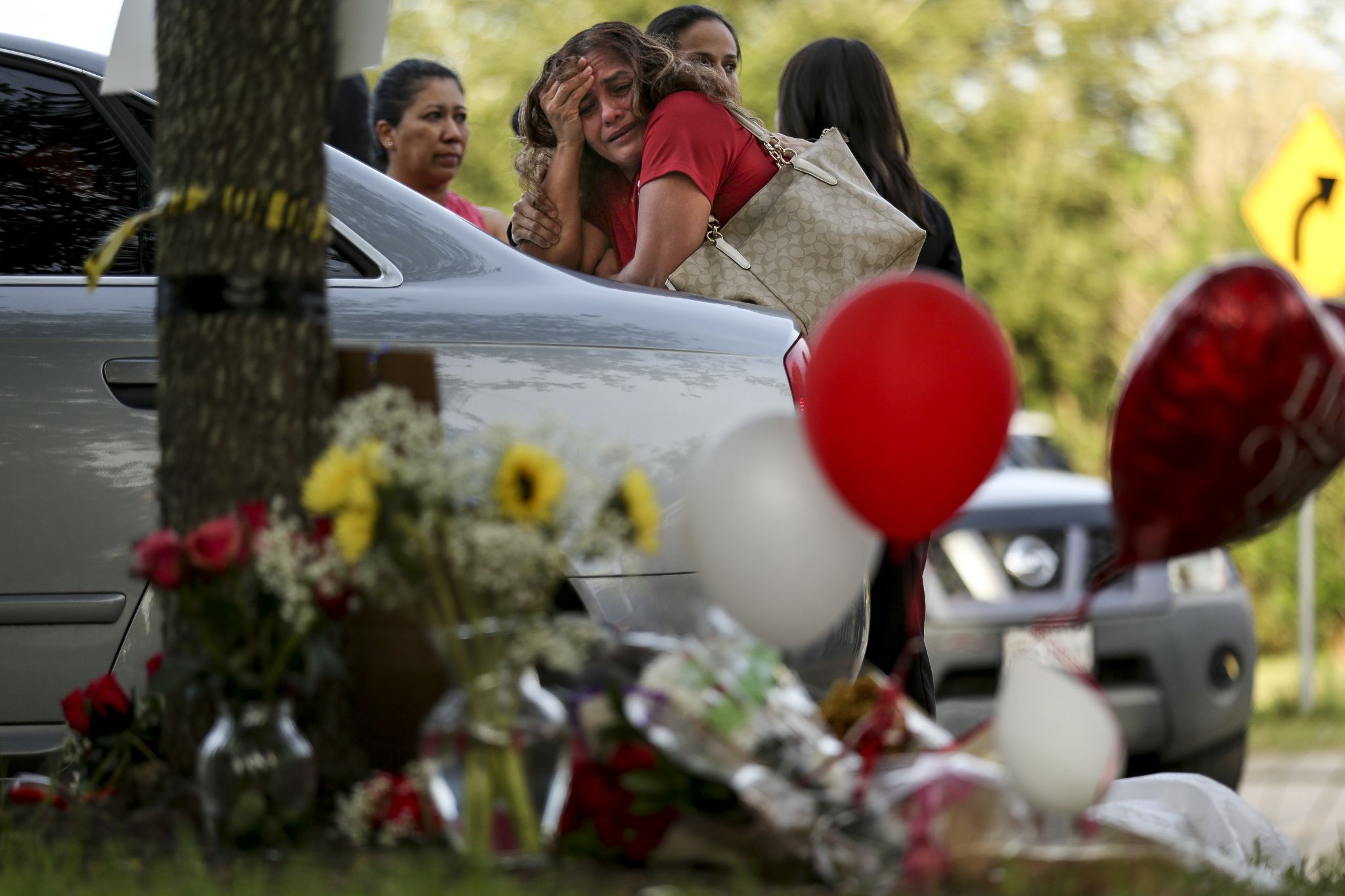 2018 Year in photos - November