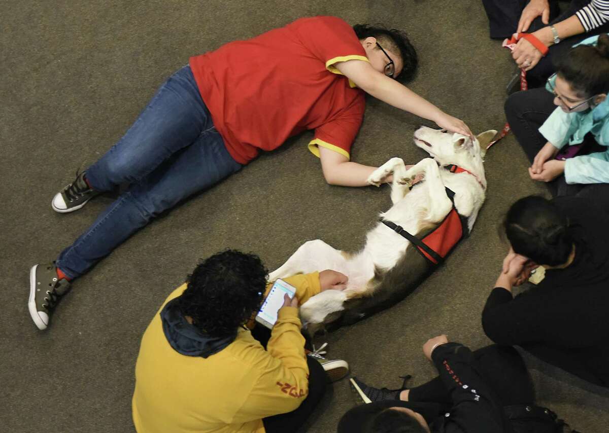 Dogs de-stress students during finals week at NCC