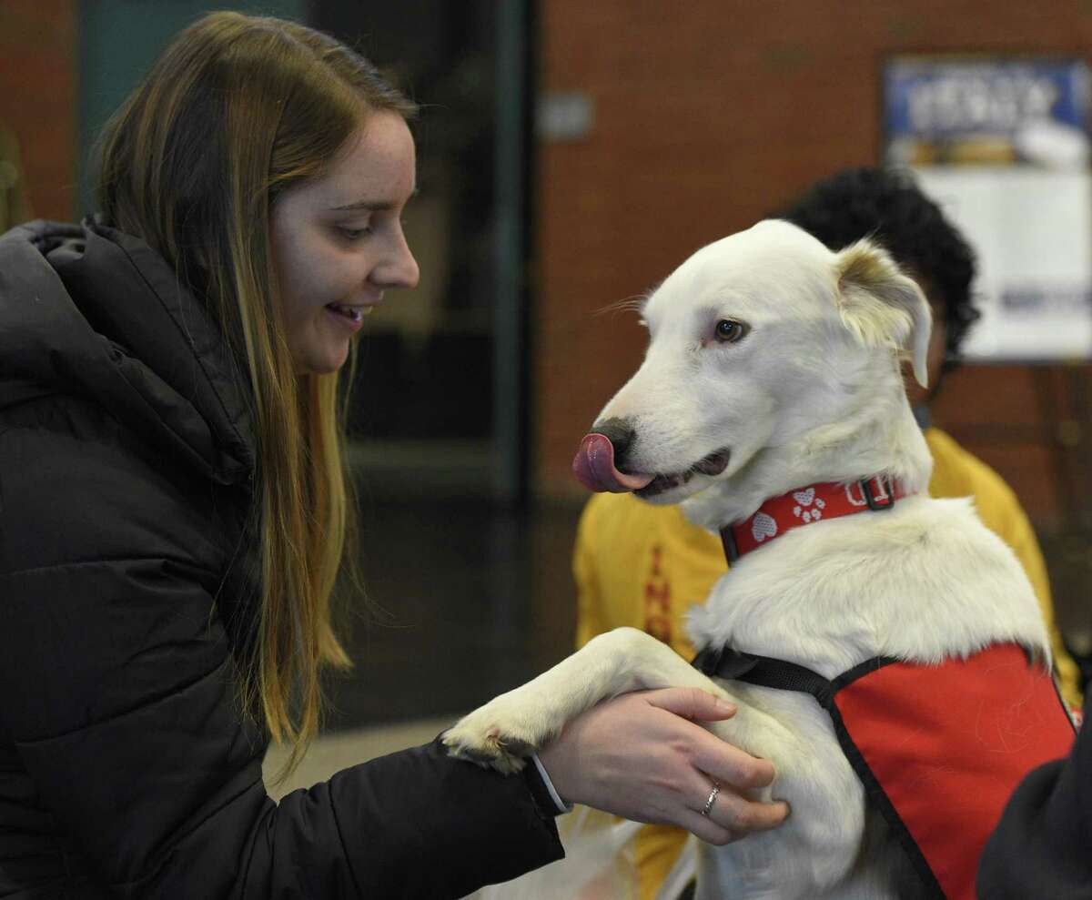 Dogs de-stress students during finals week at NCC