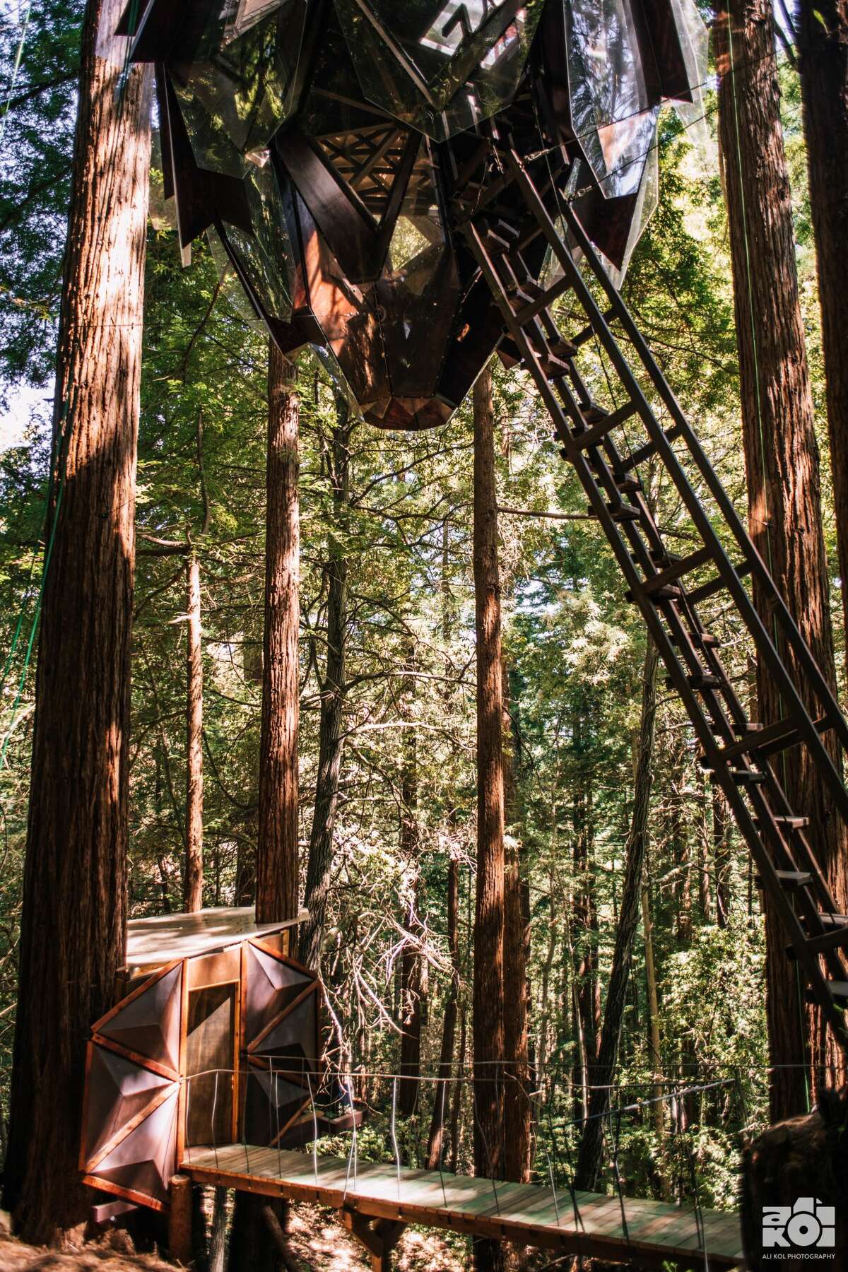 An Oakland company is selling a dazzling pinecone-shaped treehouse for ...