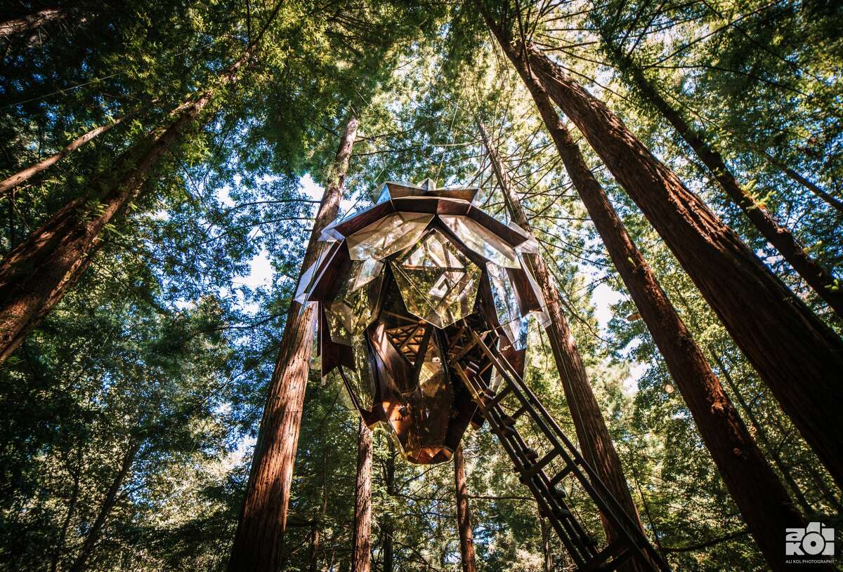 An Oakland company is selling a dazzling pinecone-shaped treehouse for ...