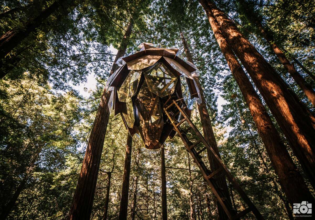 An Oakland company is selling a dazzling pinecone-shaped treehouse for ...