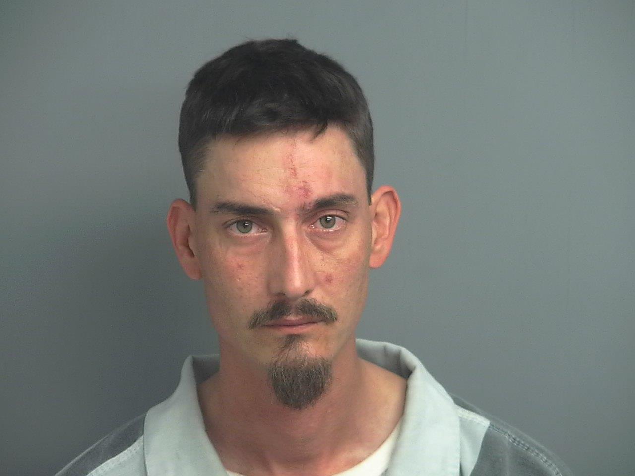 PHOTOS: MCSO arrested 51 on felony DWI charges in November