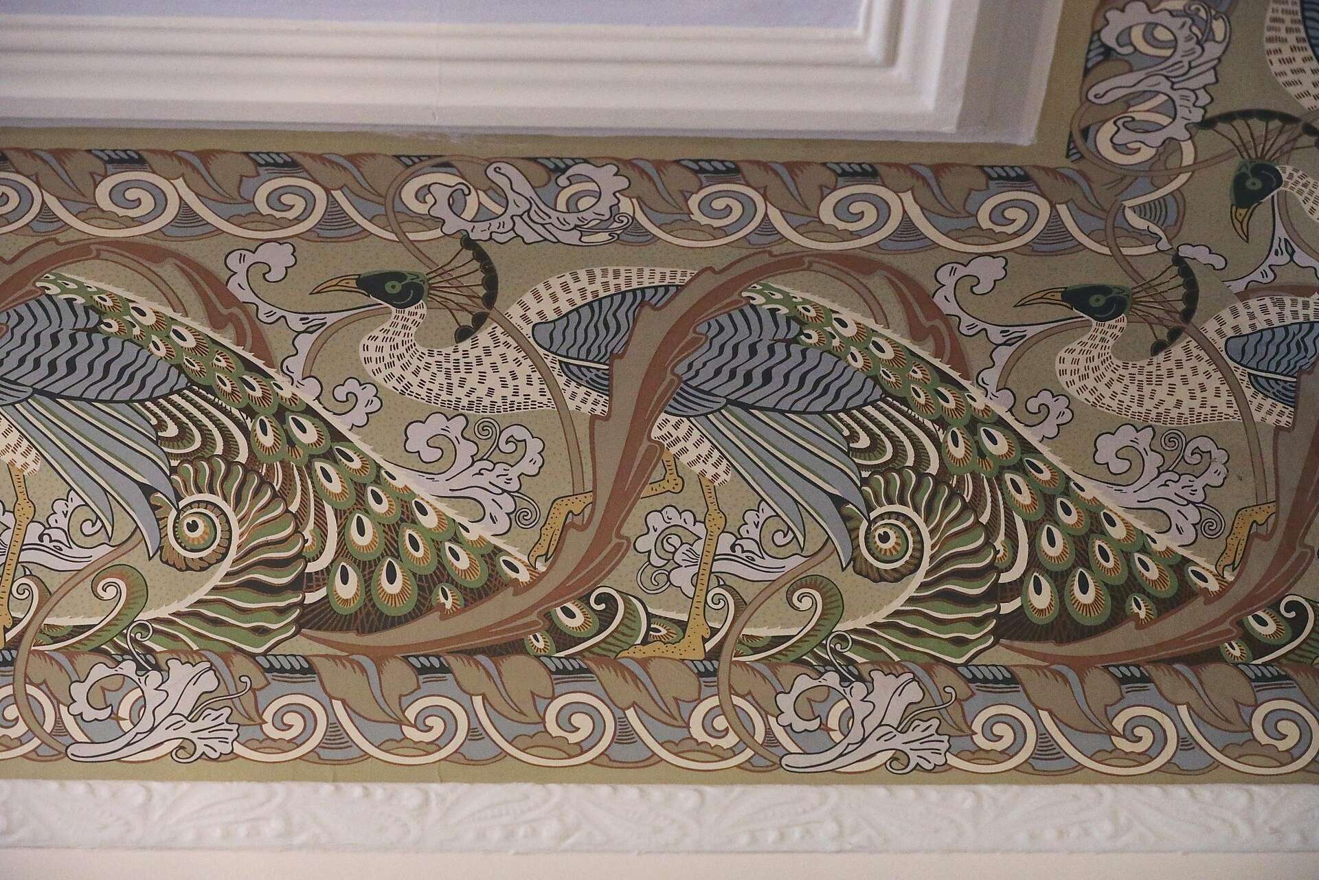 Life inside a Painted Lady: ‘Every day is an adventure’