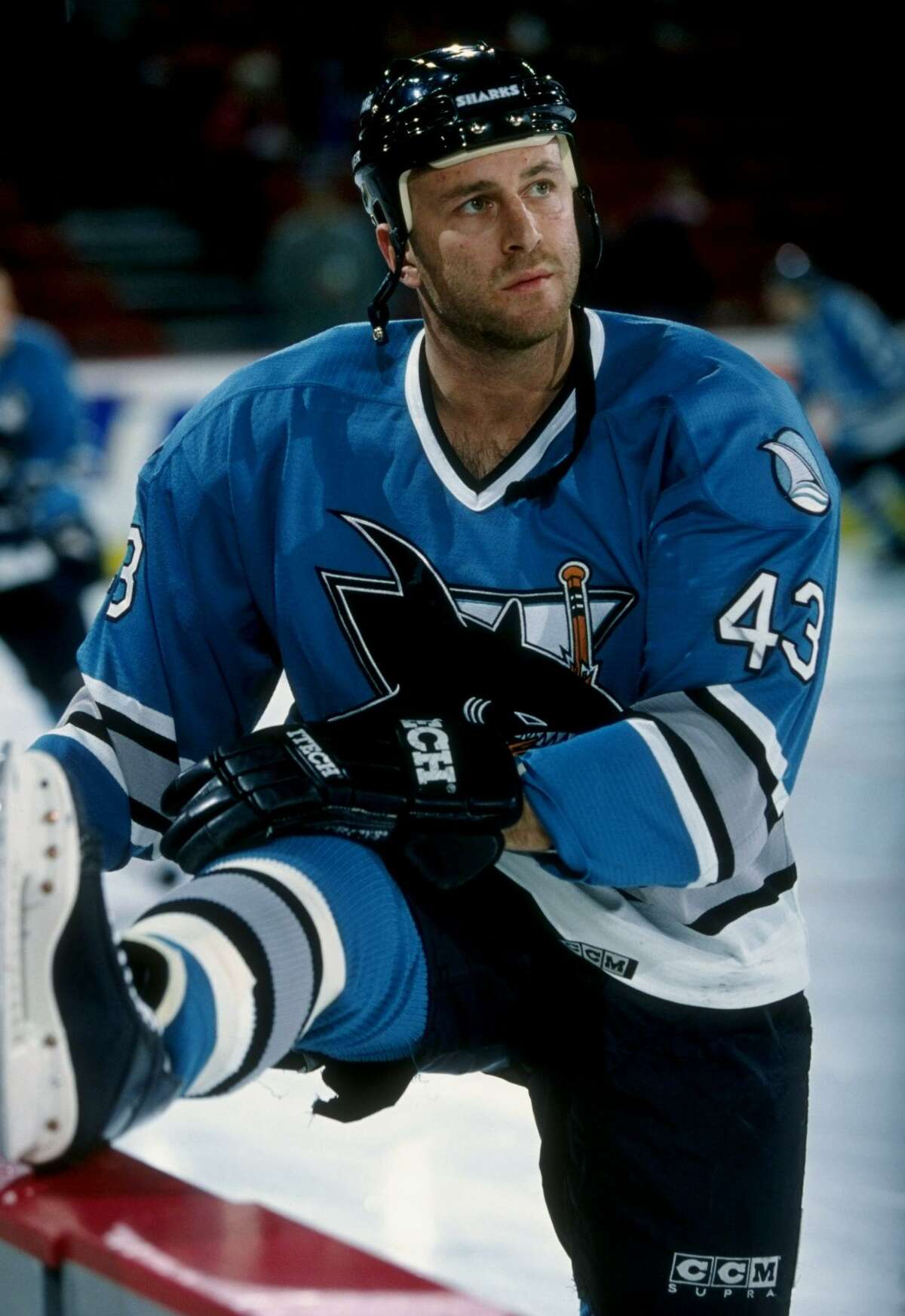 Sharks’ characters laid bare in ‘If These Walls Could Talk’