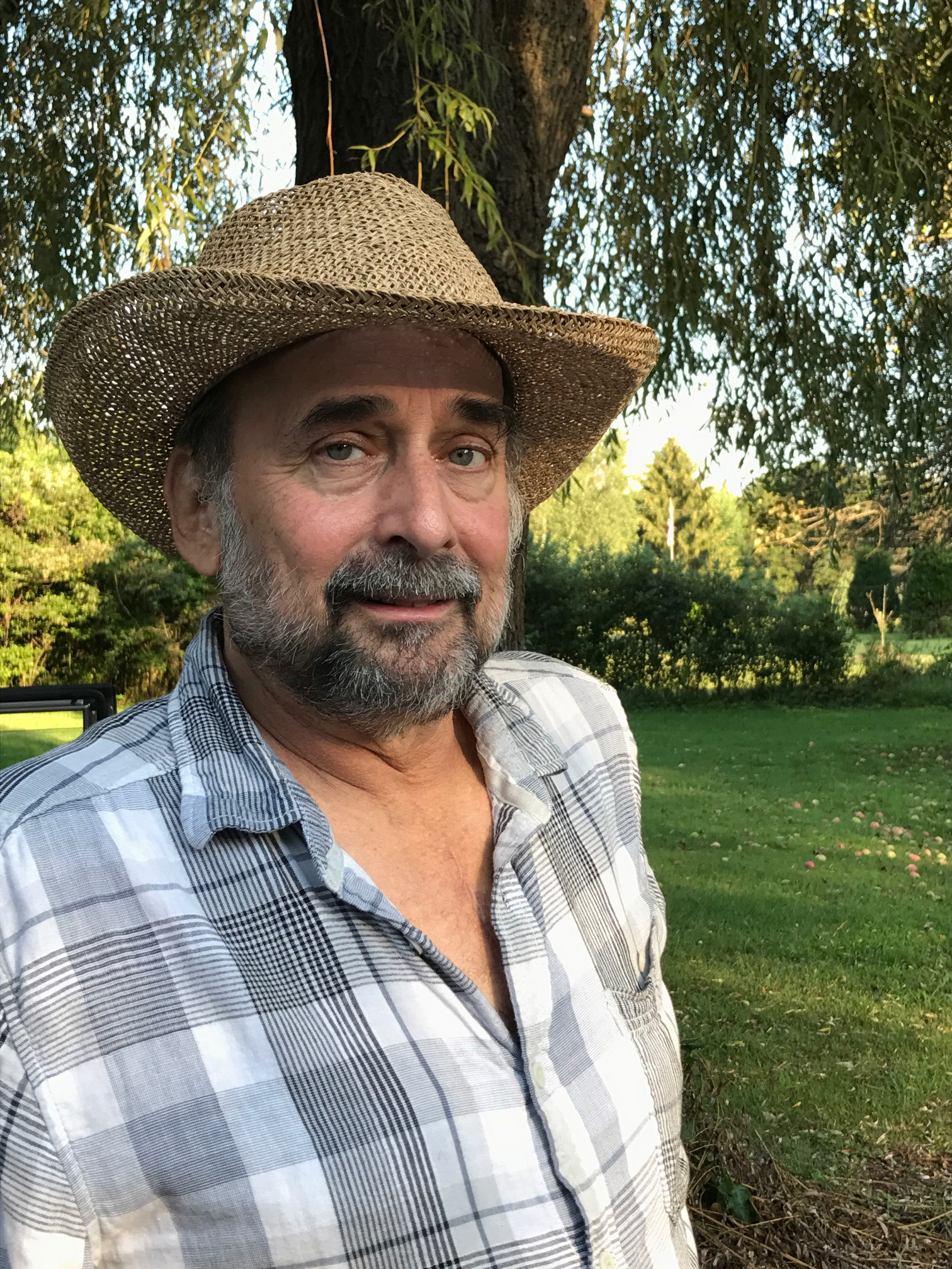 Musicians Ralph Spillenger, Josh Chambers to be honored with concerts