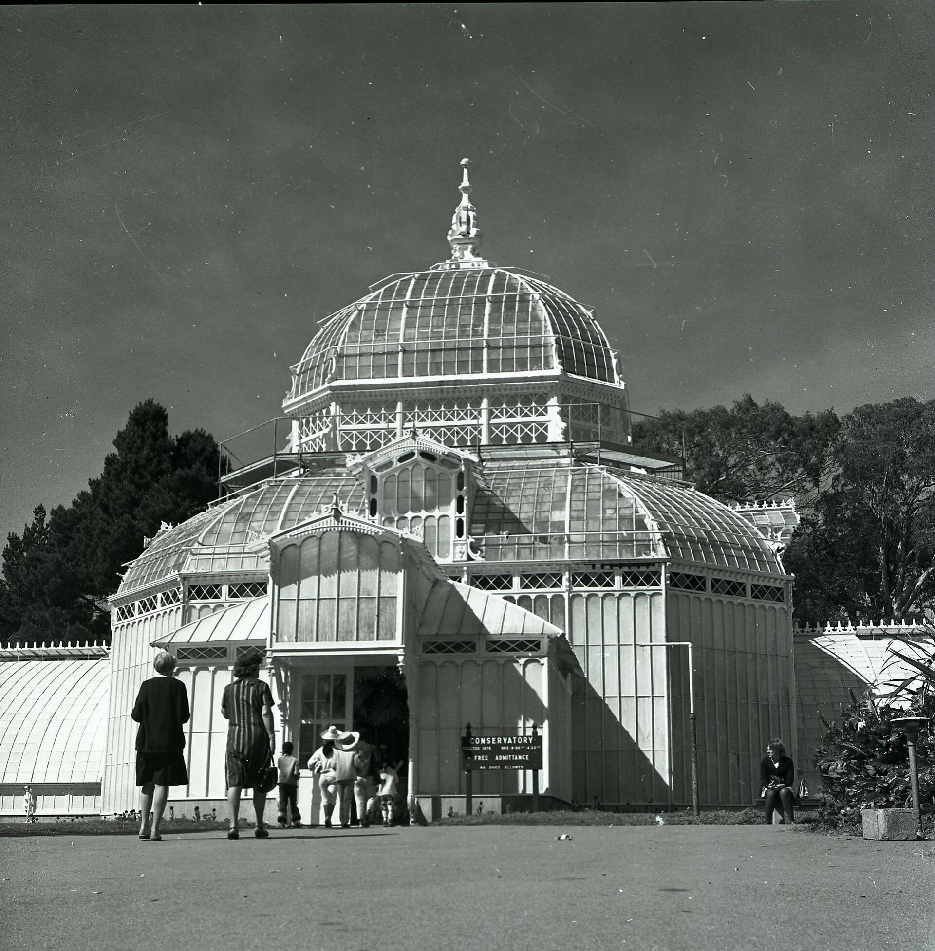 Saving SF’s Conservatory of Flowers, Golden Gate Park’s grandest building