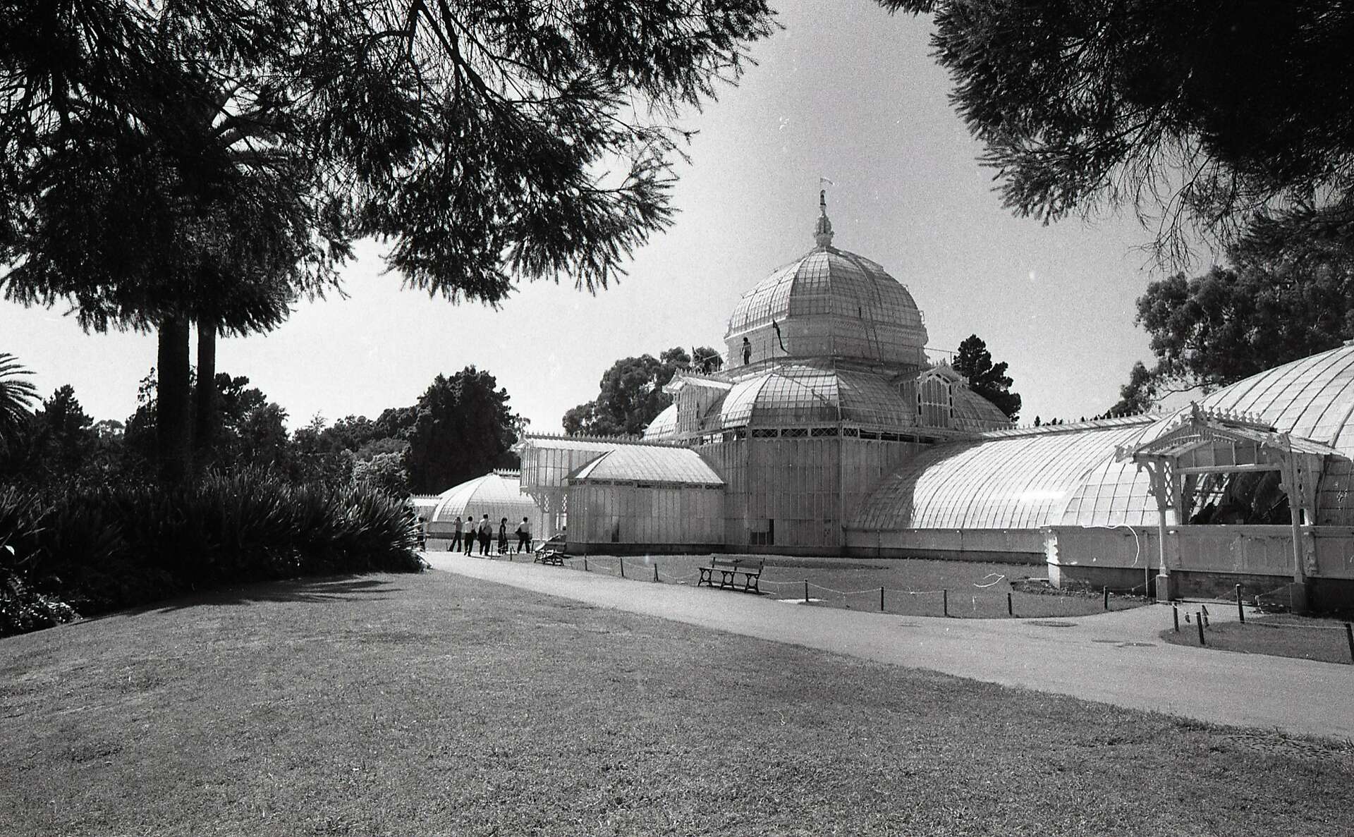 Saving SF’s Conservatory of Flowers, Golden Gate Park’s grandest building