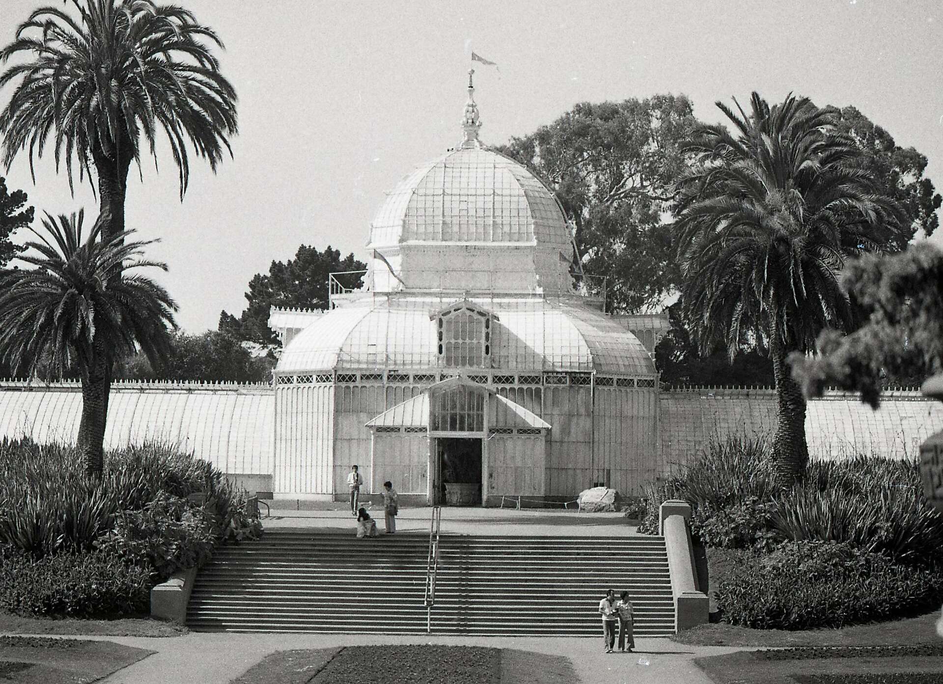Saving SF’s Conservatory of Flowers, Golden Gate Park’s grandest building