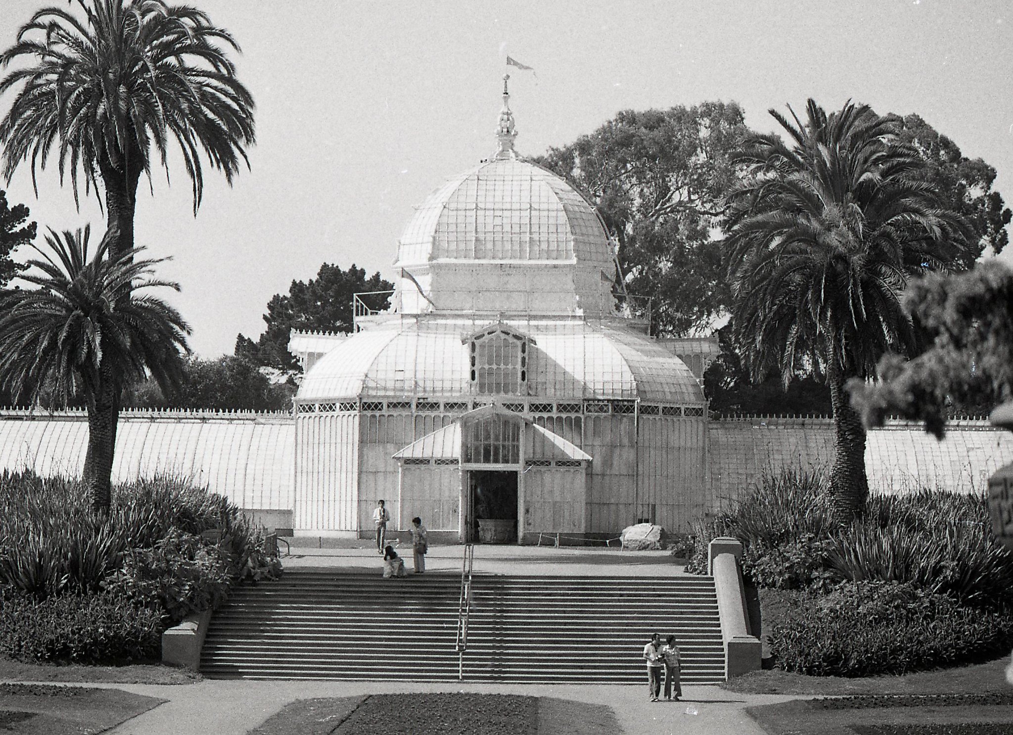 Saving SF’s Conservatory of Flowers, Golden Gate Park’s grandest building