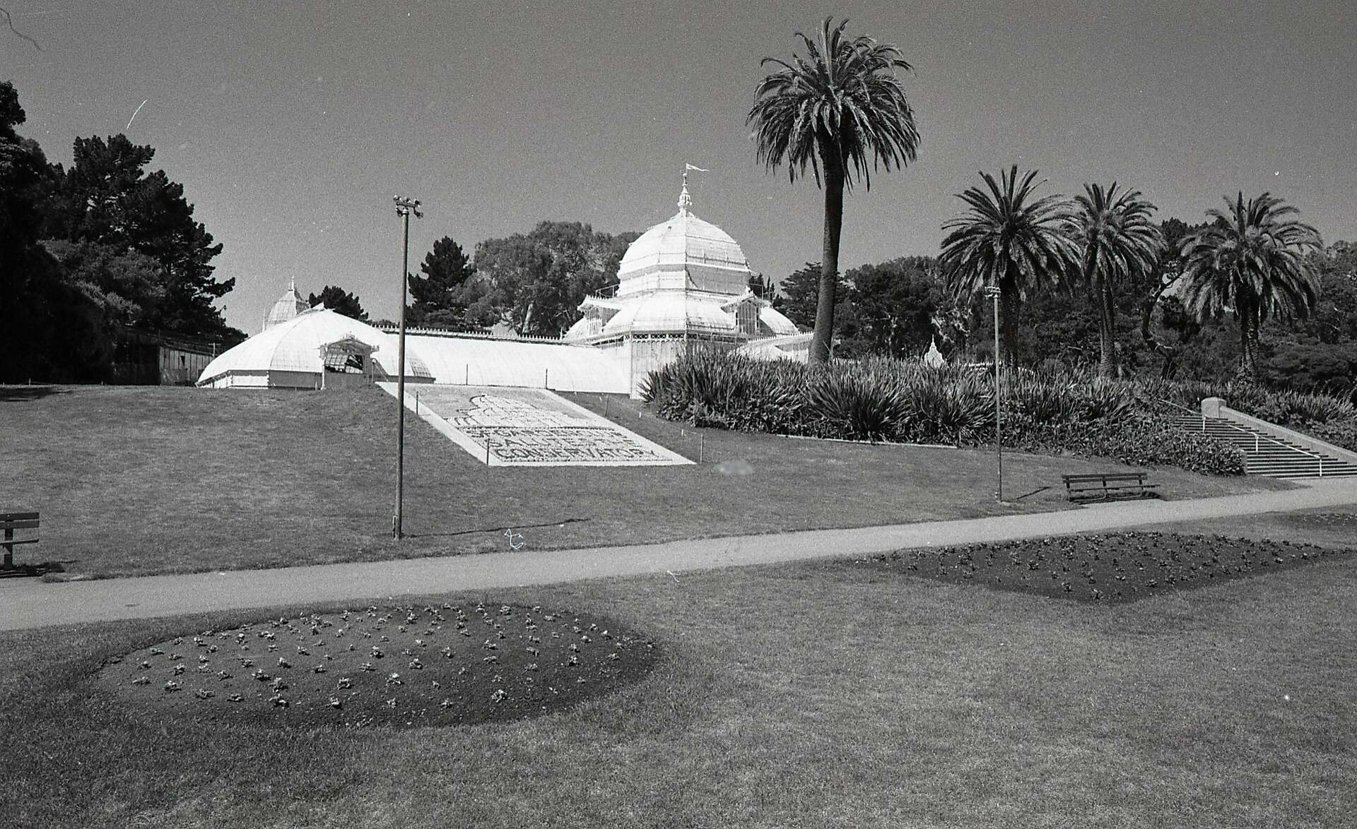 Saving SF’s Conservatory of Flowers, Golden Gate Park’s grandest building