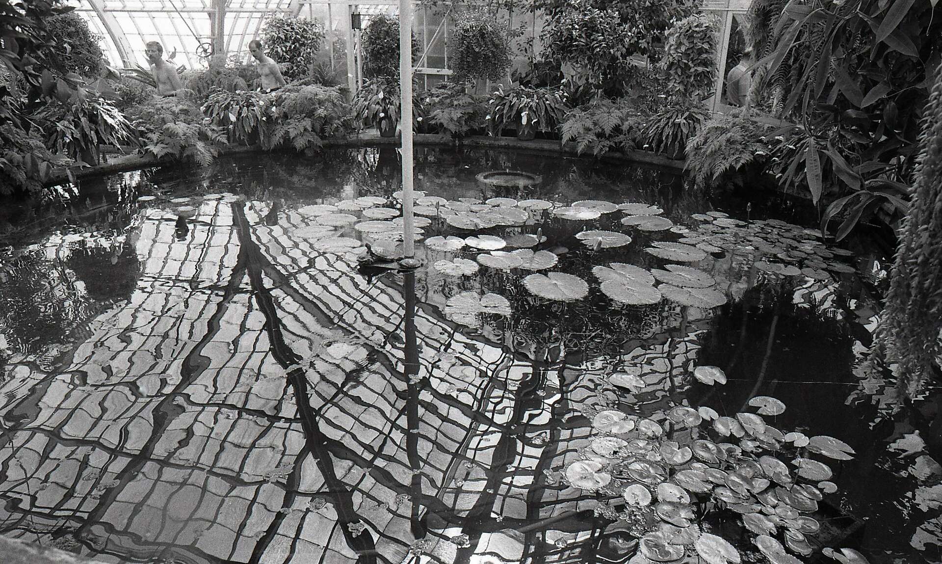 Saving SF’s Conservatory of Flowers, Golden Gate Park’s grandest building