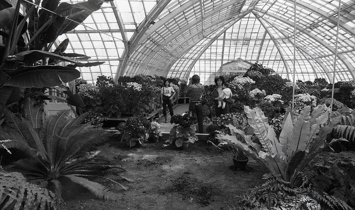 Saving SF’s Conservatory of Flowers, Golden Gate Park’s grandest building