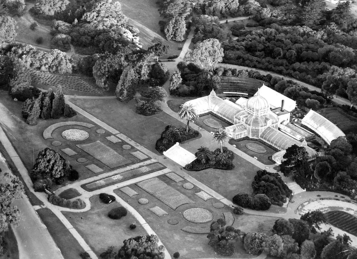 Saving SF’s Conservatory of Flowers, Golden Gate Park’s grandest building