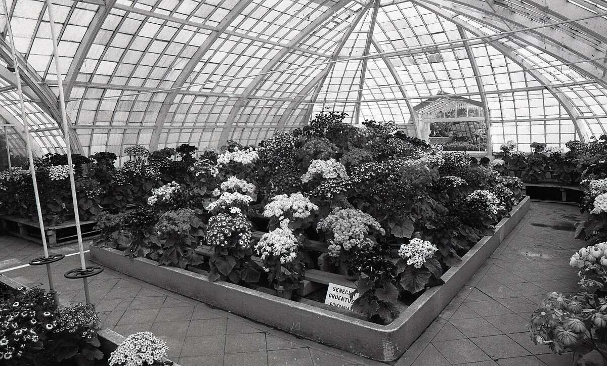 Saving SF’s Conservatory of Flowers, Golden Gate Park’s grandest building