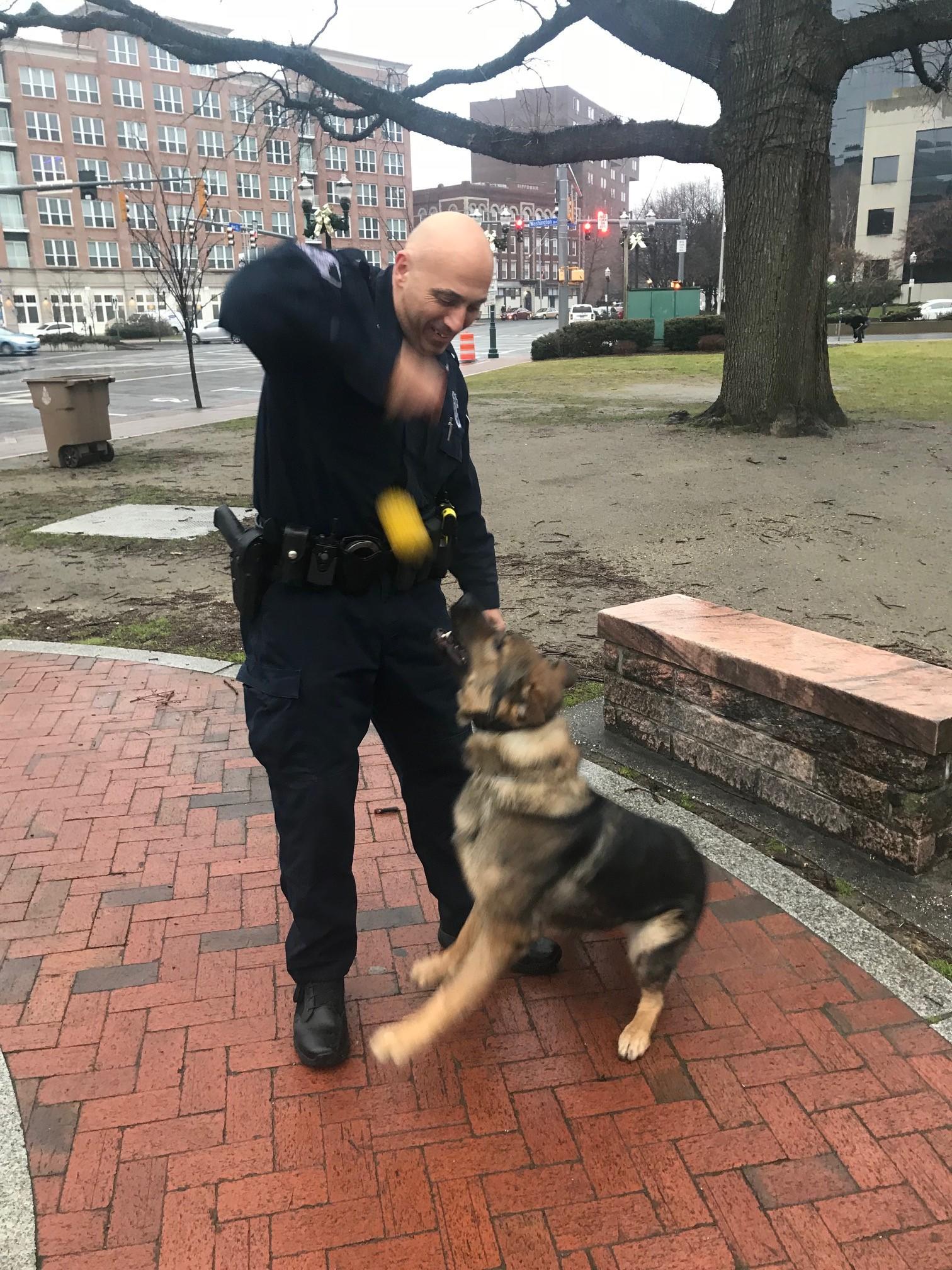 One K-9 police dog retires in Stamford, another comes on line