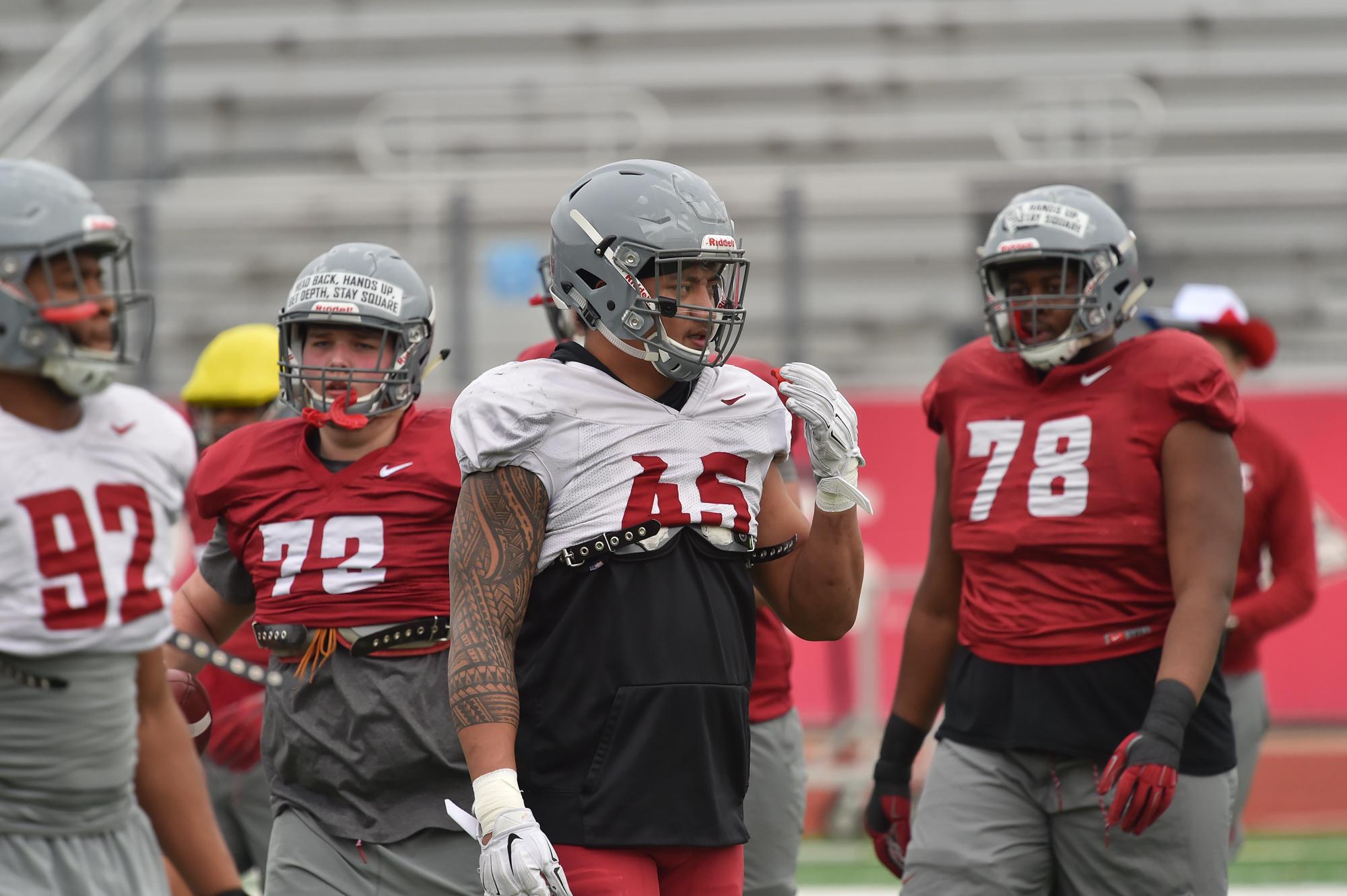 Tago, from American Samoa, helps anchor improved Washington State defense