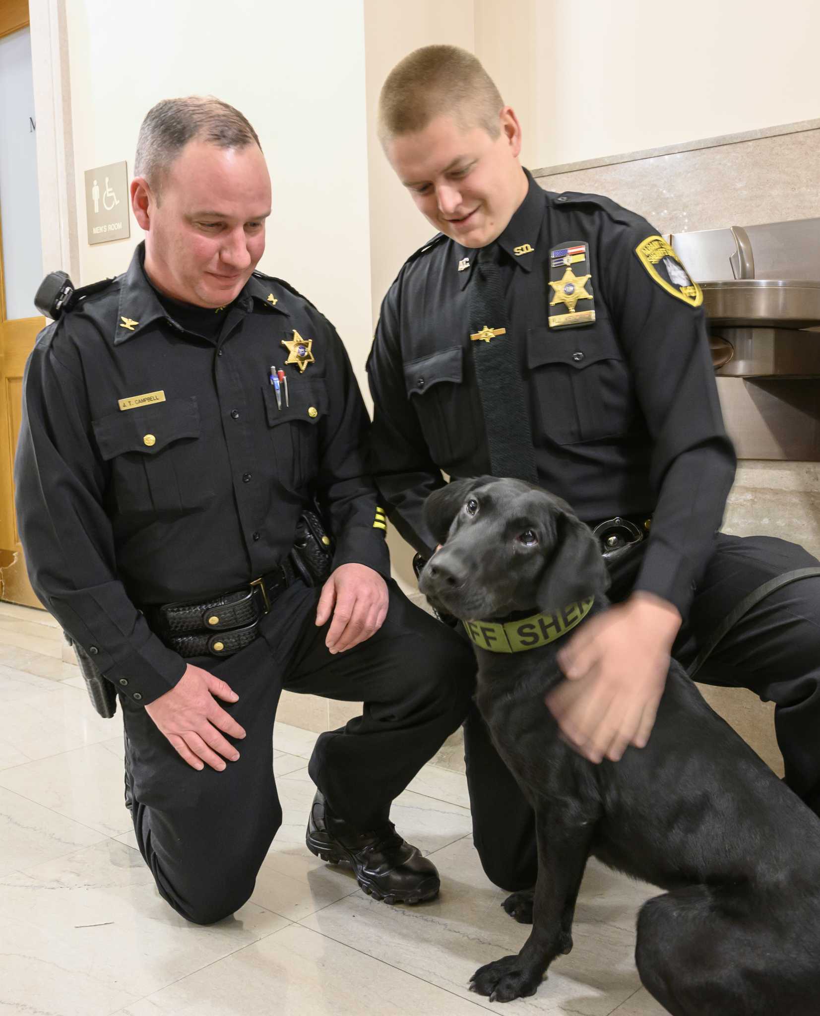 Photos: Police dogs graduate in Albany