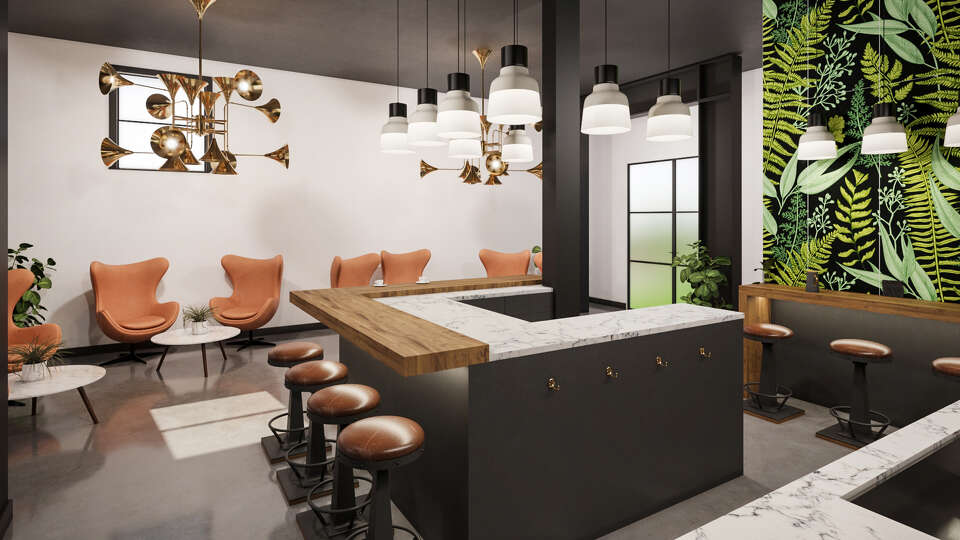 Meet Doggy Style: An up to $1,500-a-month members-only club for SF dog ...