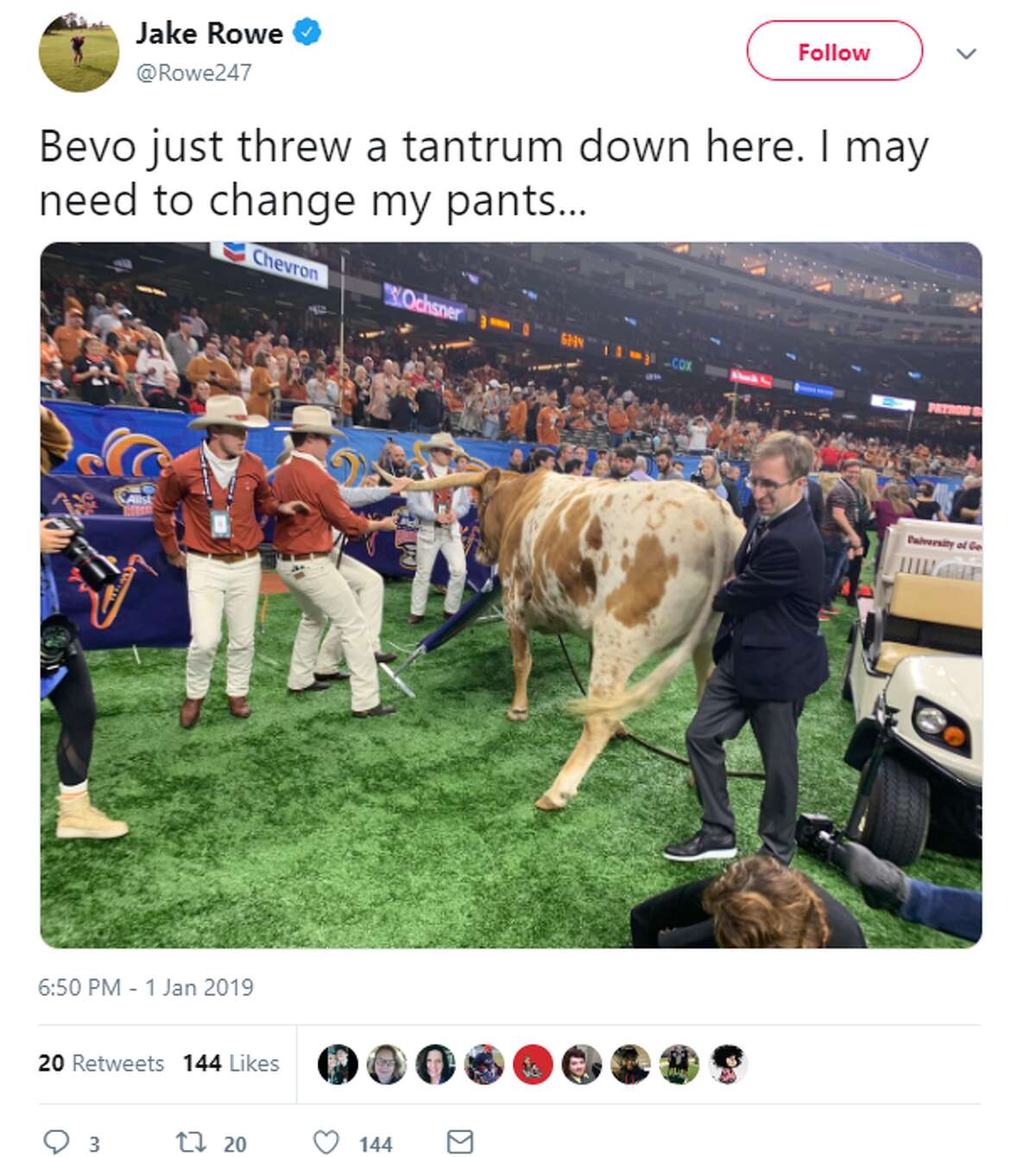 People can't stop joking about Bevo the Longhorn charging at Uga the ...