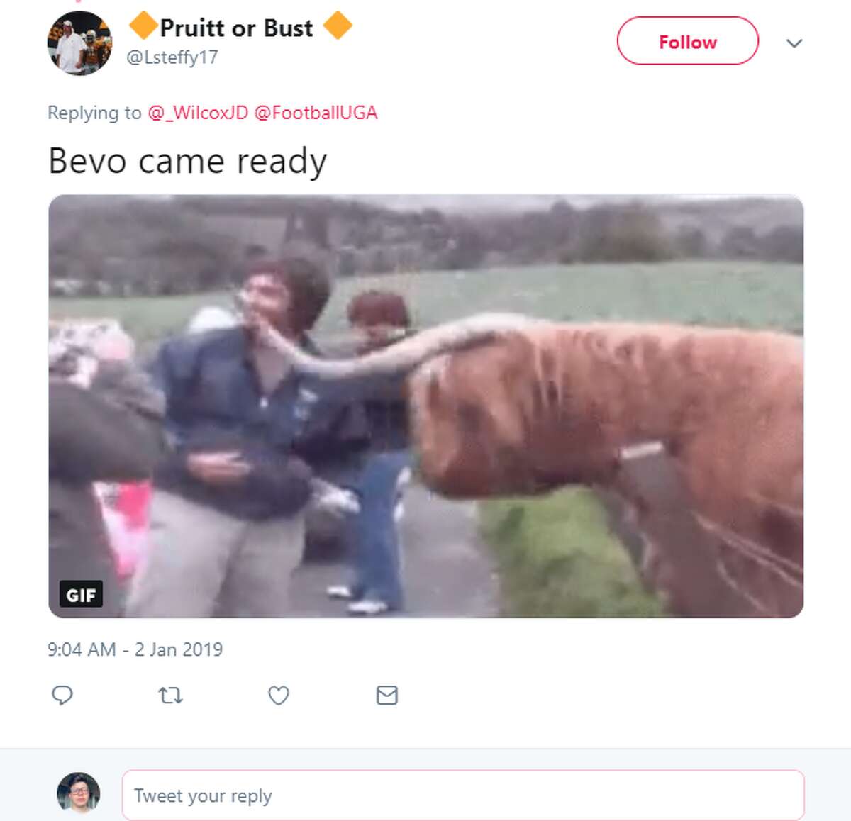 People can't stop joking about Bevo the Longhorn charging at Uga the ...