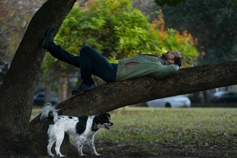Menil Park: Why this prized green space shouldn't be missed