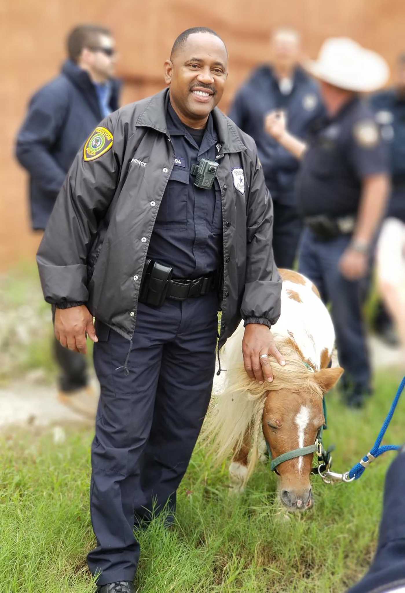 Harris County Sheriff’s Office to adopt miniature pony as mascot for ...