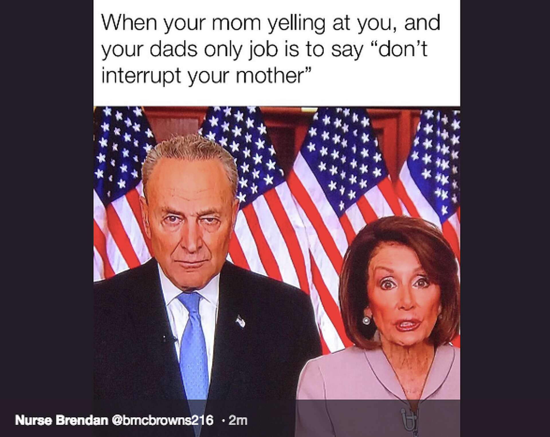 Chuck Schumer and Nancy Pelosi's rebuttal to Trump unleashes a flood of ...