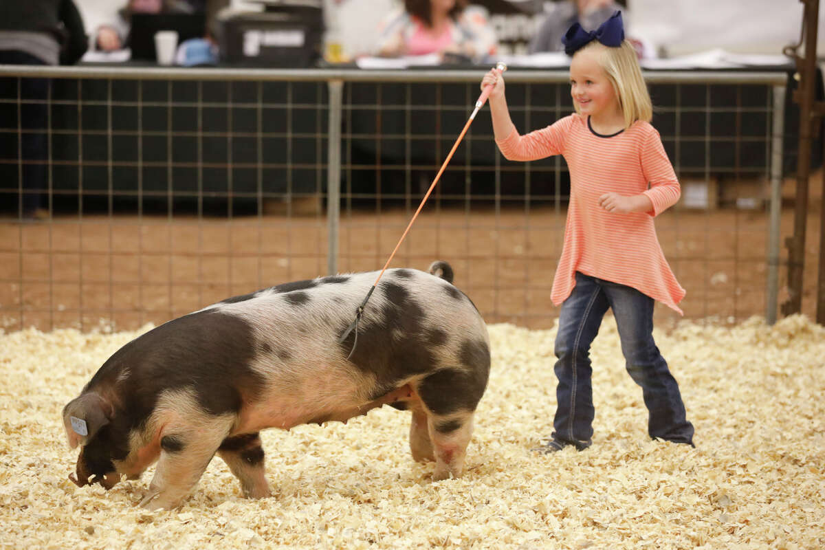 Pigs take centerstage during Piggin in the Permian