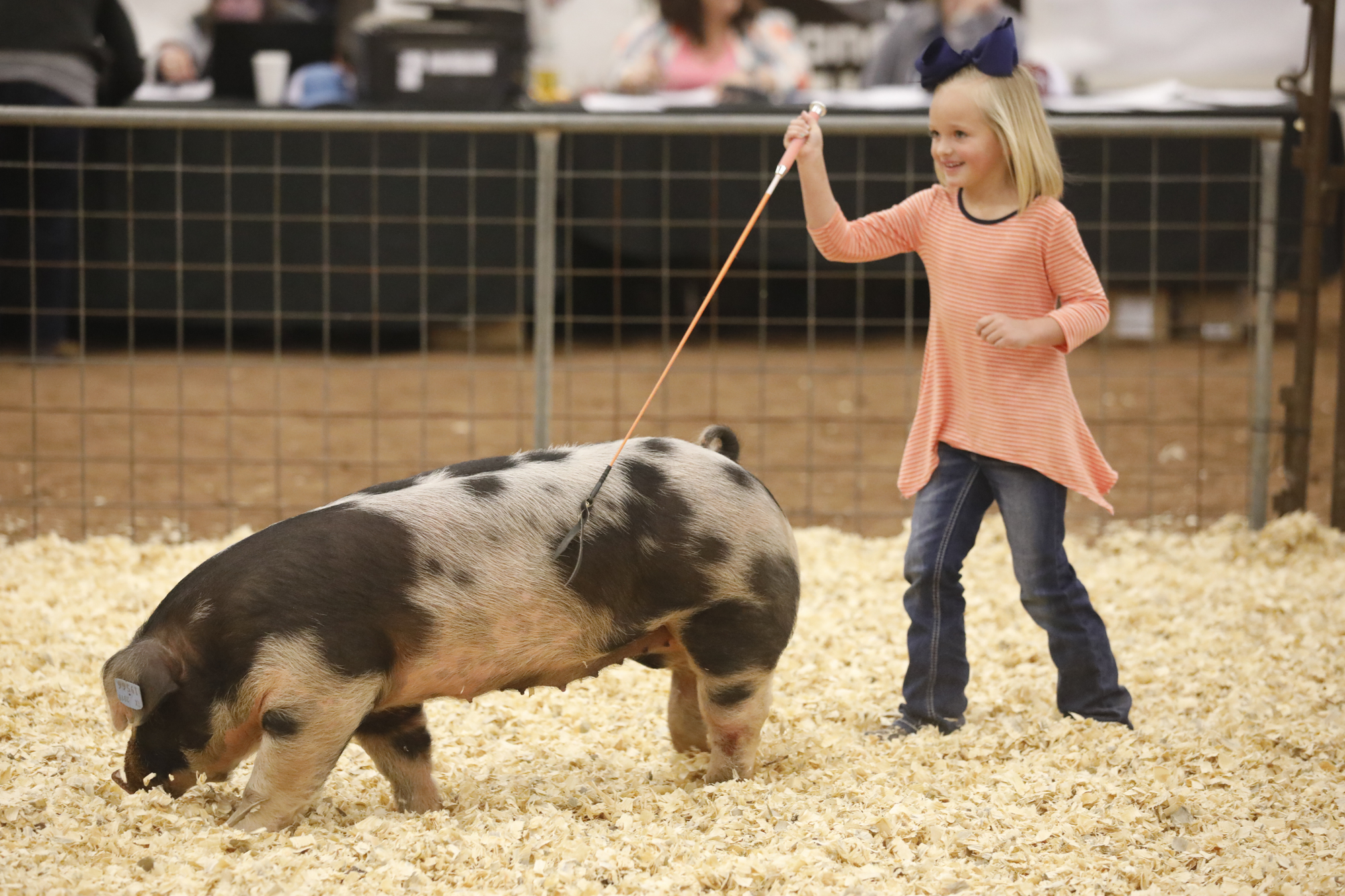 Pigs take centerstage during Piggin in the Permian