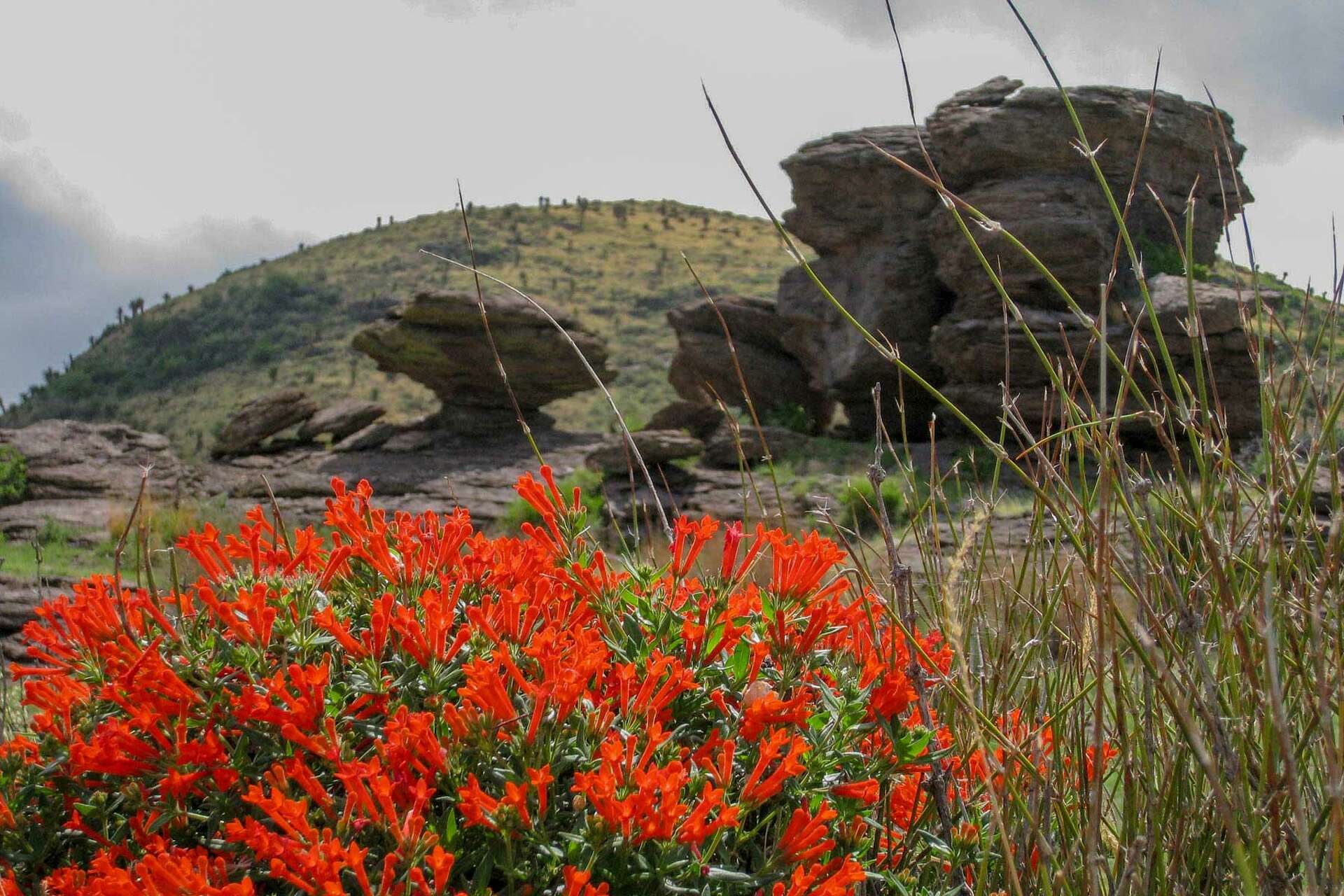 Sprawling West Texas mountain ranch can be yours for $30.5 million