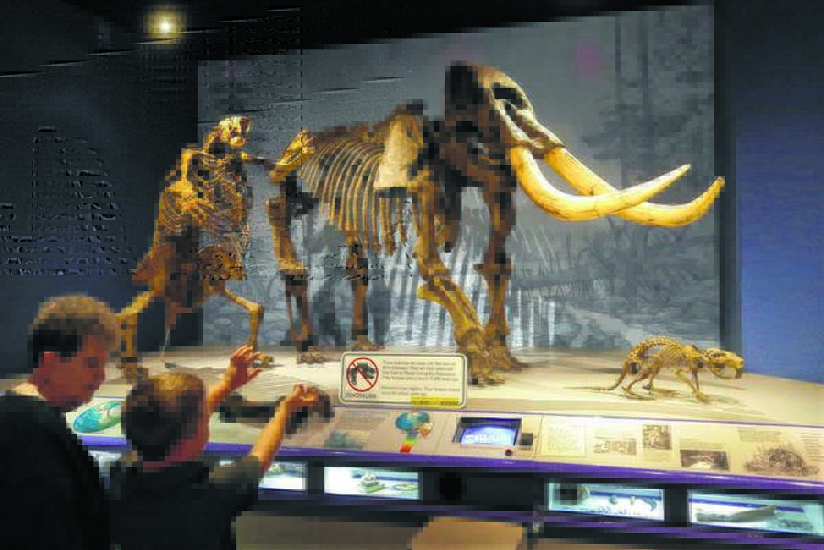 Illinois State Museum recognized as Leader Institution of the Year